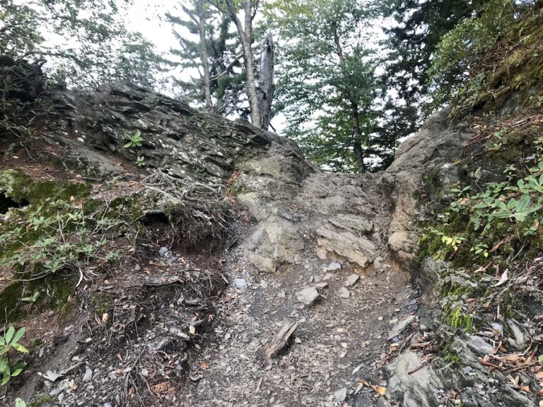 Always Aspire – See More Smokies